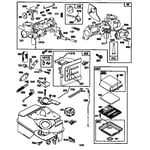 Briggs & Stratton 137202-1124-E1 lawn & garden engine parts | Sears ...